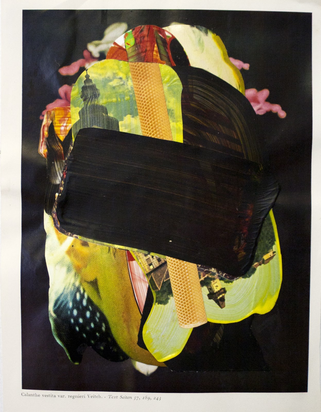 Burn Your Eyes Clean