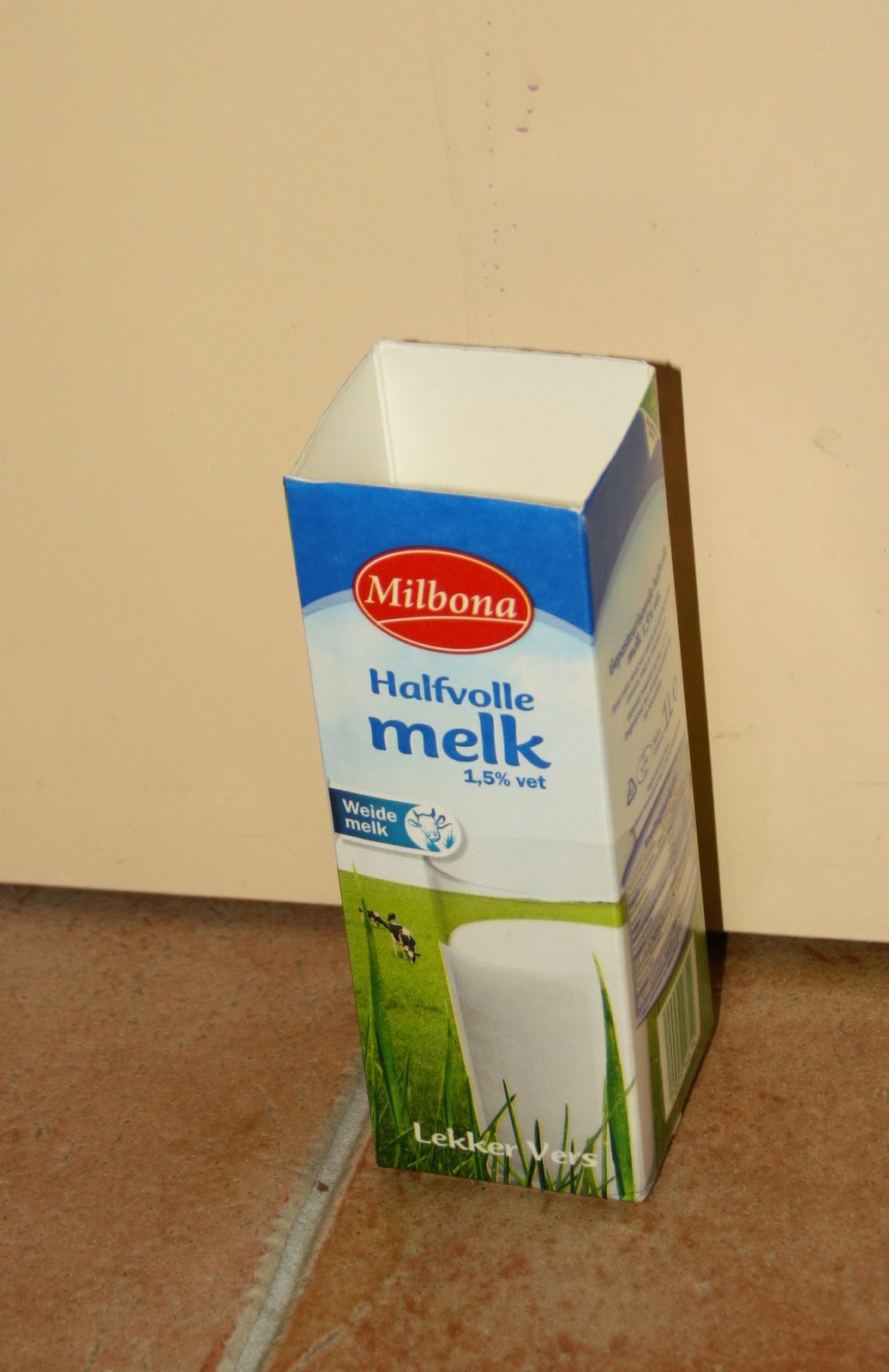 Zilverbos : Melkpak Lampion