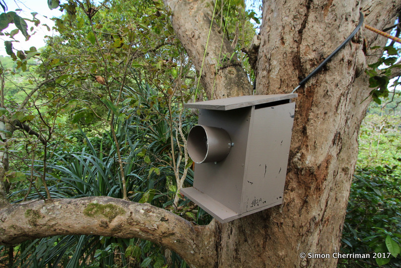 iNSiGHT News: Hawk-Owl Boxes for Christmas