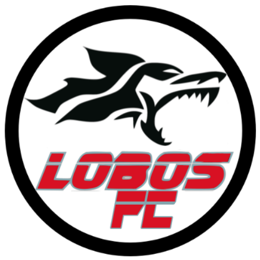 Dream League Soccer Kits 2017: Lobos FC