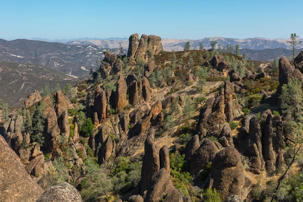 Pinnacles National Park, California (with Map & Photos)