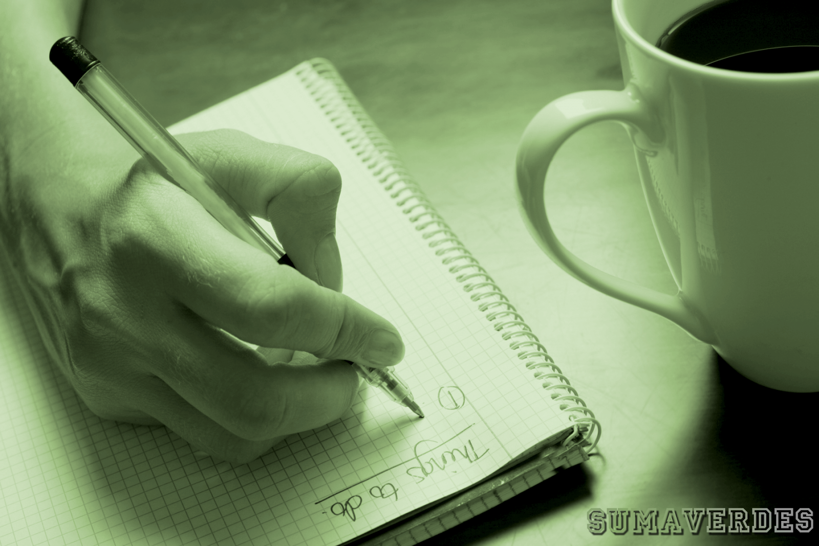 Sumaverdes: ¿Que tienes planeado hacer?: Aprende estrategias en ...