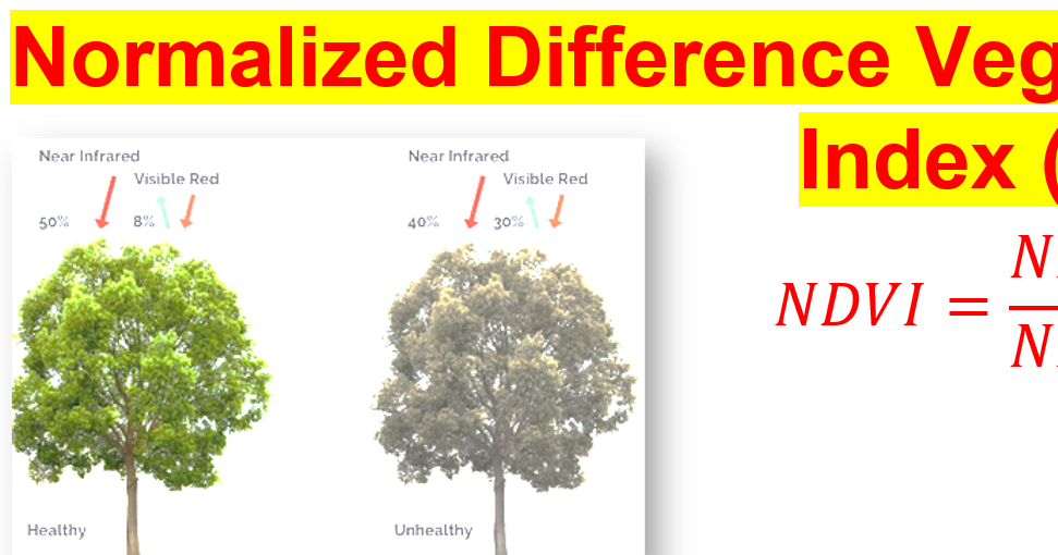 Geoscience, Remote Sensing and GIS: Normalized Difference Vegetation Index (NDVI)