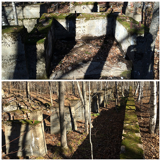 Hiking in the White Mountains: Livermore Pass and the Old Town of ...