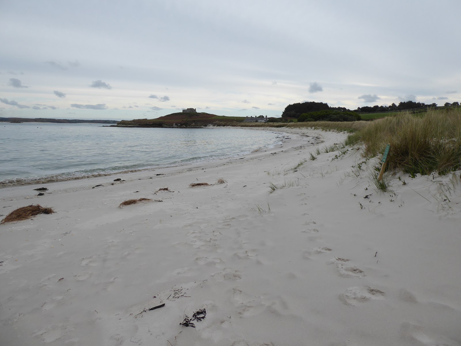 My antidote to the midweek blahs - colour therapy and beach walks ...