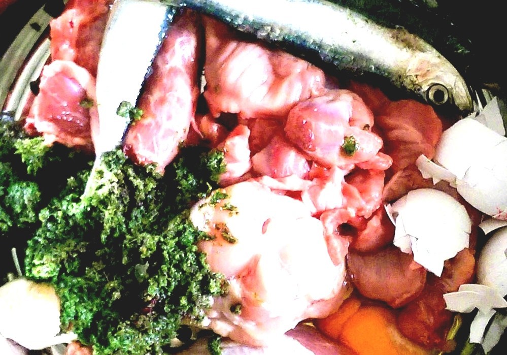 Raw Feeding - Barf Diet Dogs