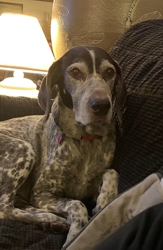 The Latest News from Shomberg GSPs