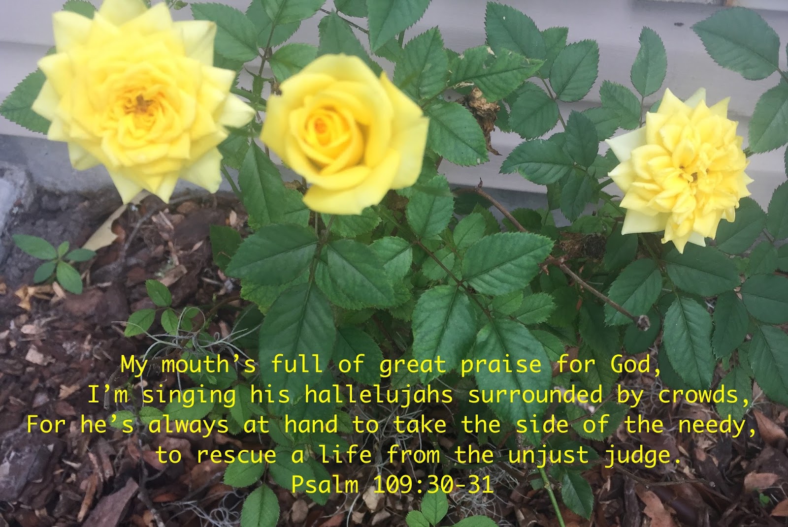 My Strength: Psalm 109:30-31 - "Praise You In This Storm"