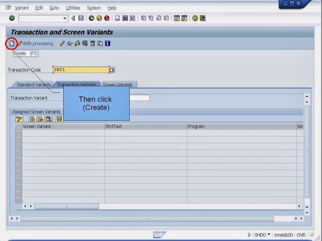 青蛙SAP分享 Froggy's SAP sharing: PM Transaction Variant for IW31 with ...