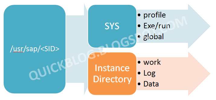 SAP BASIS BASIC OVERVIEW: Kernel In SAP