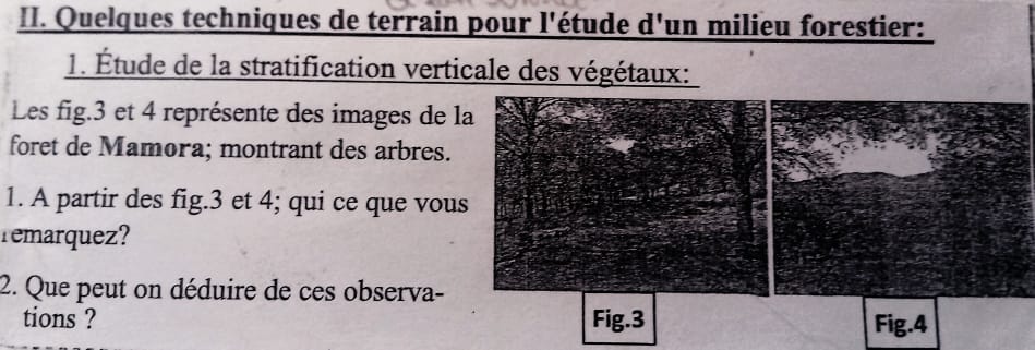 la sortie ecologique