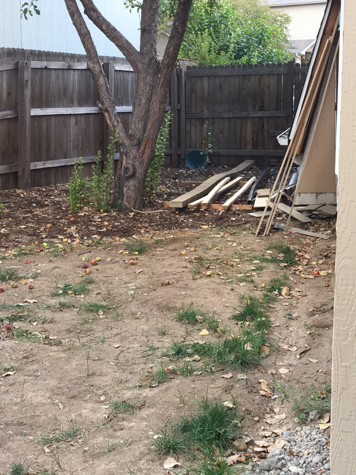 Don't just sit! Knit!!: Week 20: Messy Backyard