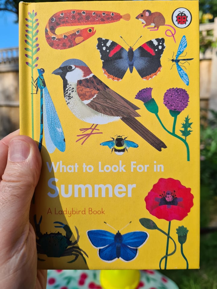 Vraie fiction: What to Look for in Summer