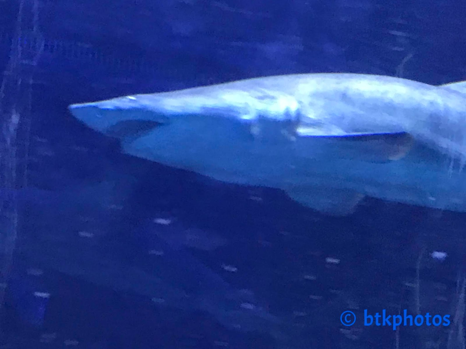 Reel to Real Filming Locations: Jaws 3 (1983)