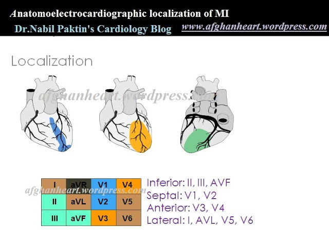 Dr.Nabil Paktin's Journal of Cardiovascular Medicine Blog ژورنال ( قلب ...