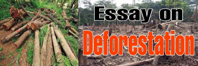 Essay on Deforestation - edunation19
