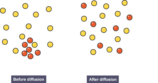 Diffusion ~ K Chemistry
