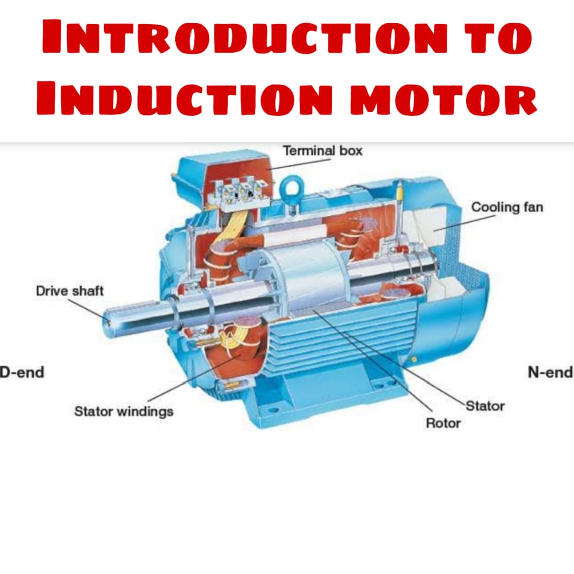 Three Phase Induction Motor