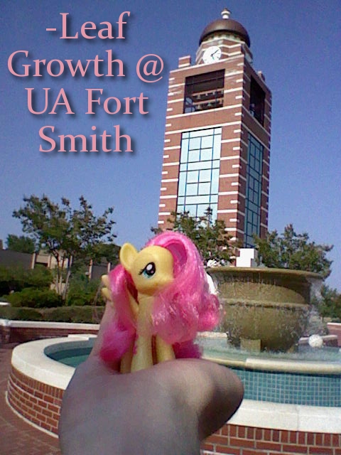 Equestria Daily - MLP Stuff!: Ponies Around the World Round 2!