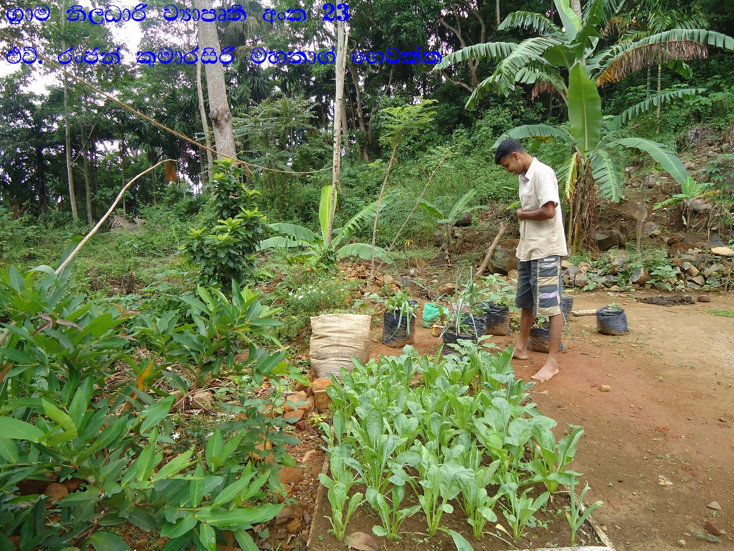 Rammala Divi Neguma: ග්‍රාම නිලධාරි ව්‍යාපෘති