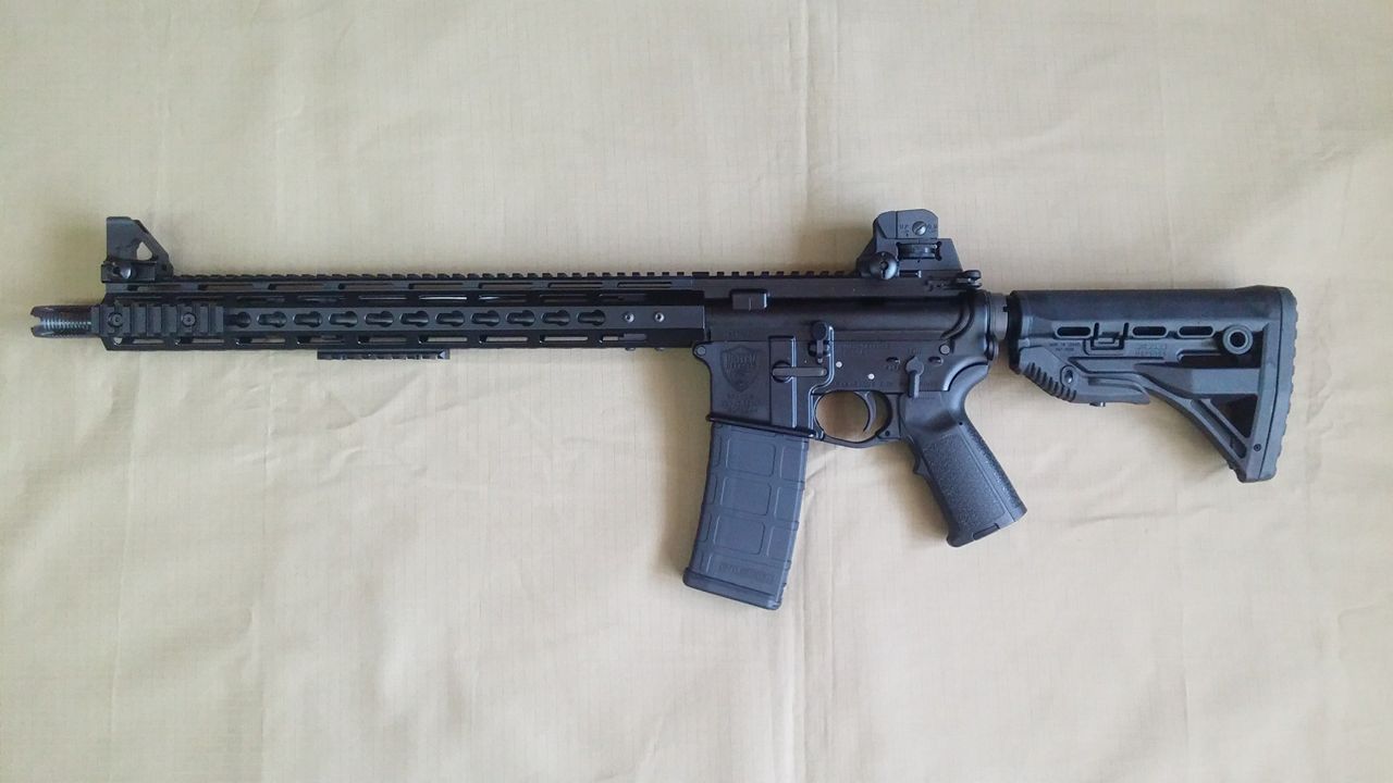 THE ZOMBIE HUNTER: A Survivalist's Journal: Survival Strategy #15: The ...