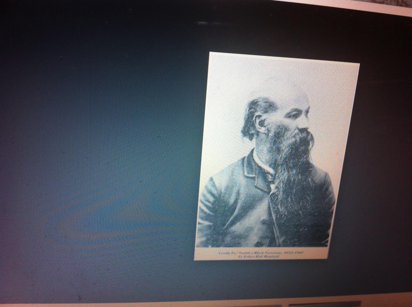 THE BLACK SOCIAL HISTORY:: BLACK SOCIAL HISTORY : AFRICAN AMERICAN ...