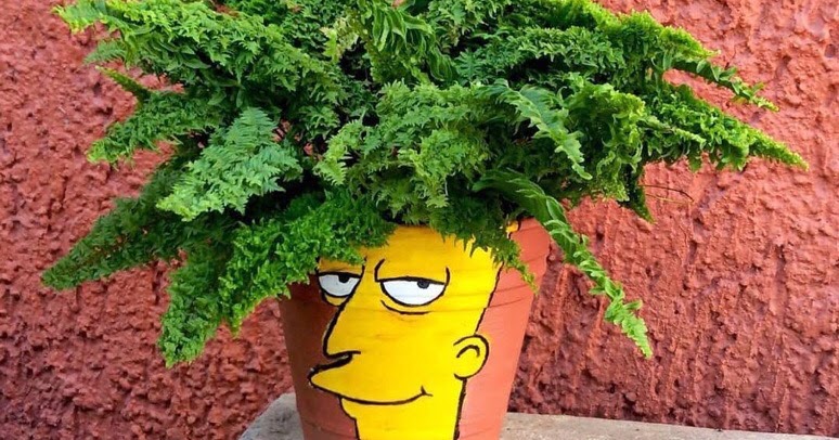 DIY sideshow bob pot plant Flower - Creative DIY