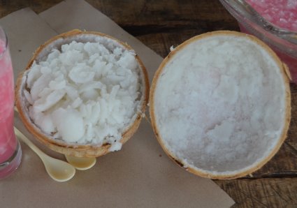 Difference Between Kopyor Coconut (Macapuno tree) VS Coconut Tree ...