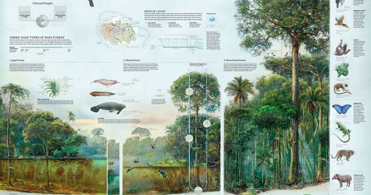 Infographics, Maps, Music and More: Great Infographics from National ...