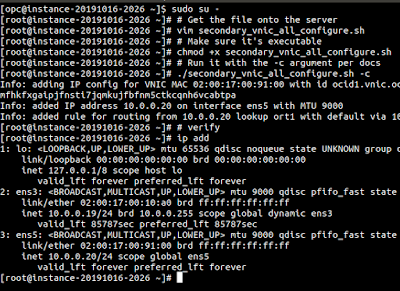 Attaching a second VNIC card to compute in OCI | LaptrinhX / News