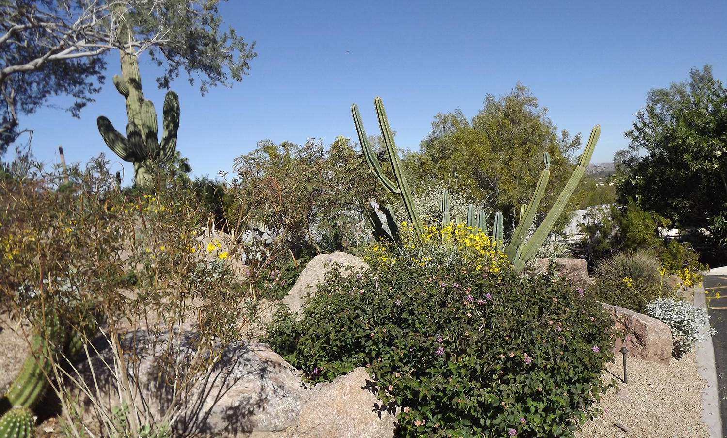 Wine and Spirits Travel: Spa and Casita Living at Sanctuary at Camelback