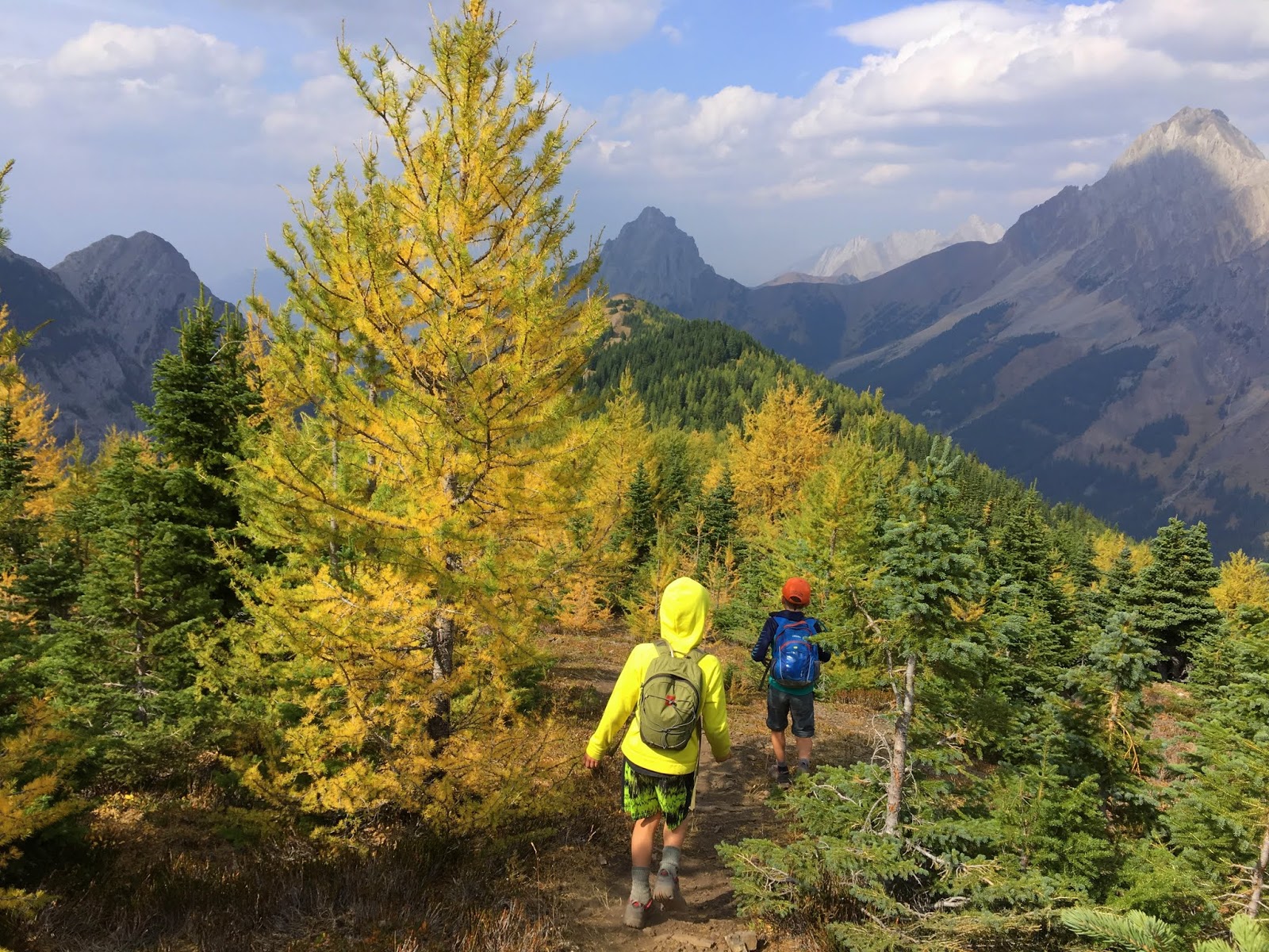 Family Adventures in the Canadian Rockies: Pocaterra Ridge - Family ...