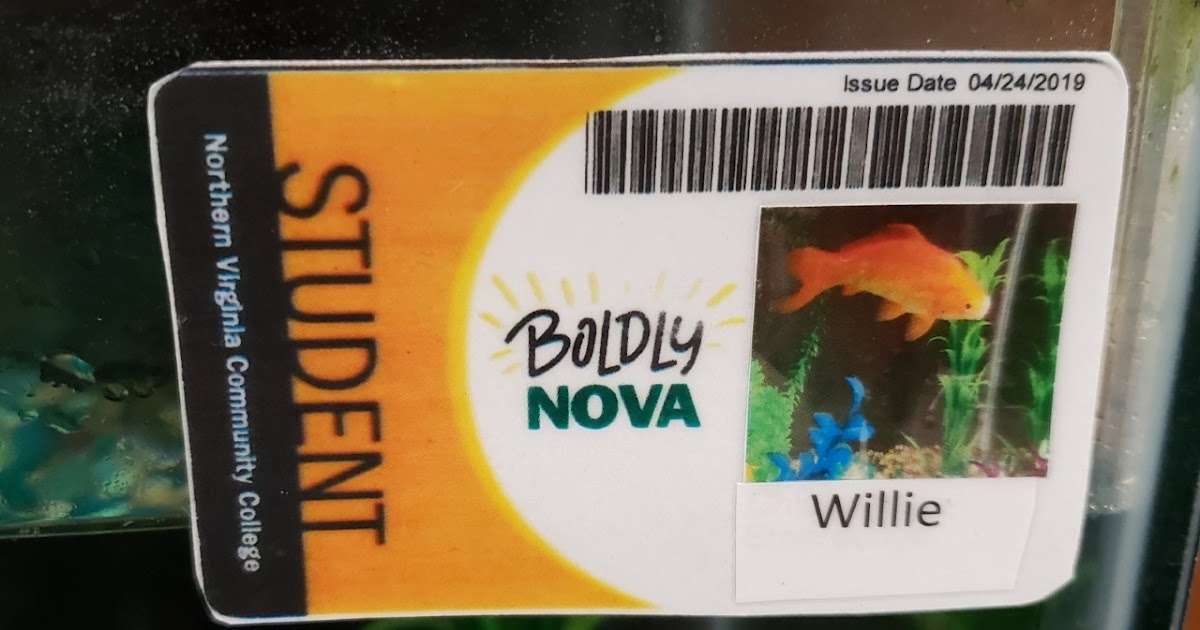 YOUR Alexandria Campus Library: The Library Fish