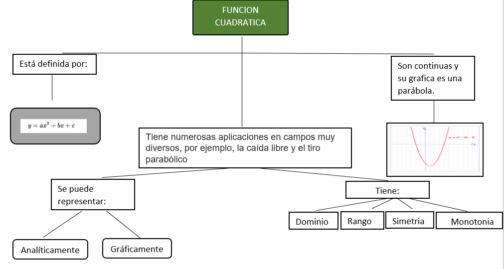 ORGANIZADOR GRÁFICO