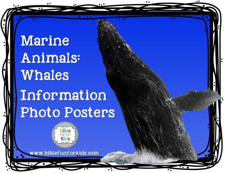 God Makes the Ocean & Sea Animals: Whales | Bible Fun For Kids