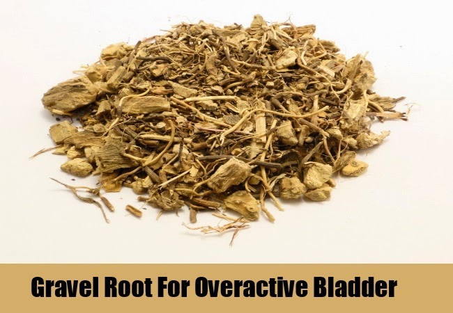 Gravel Root Tea Benefits ~ Healthy Tea 101