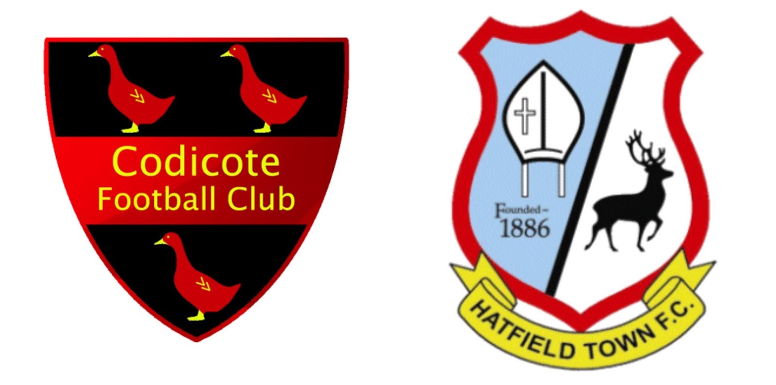 The Cold End: THE ROBINS ARE TOO GOOD FOR THE BLUE BOYS