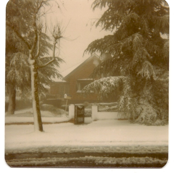 It's My Life ... RoziefromJozie: The "Big Snow" in 1981