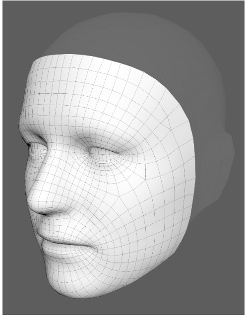Download Face Reference Asset for Spark AR - iamdenjourney