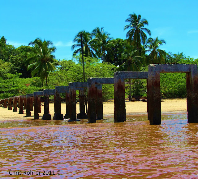 Birding Is Fun!: Coiba Island