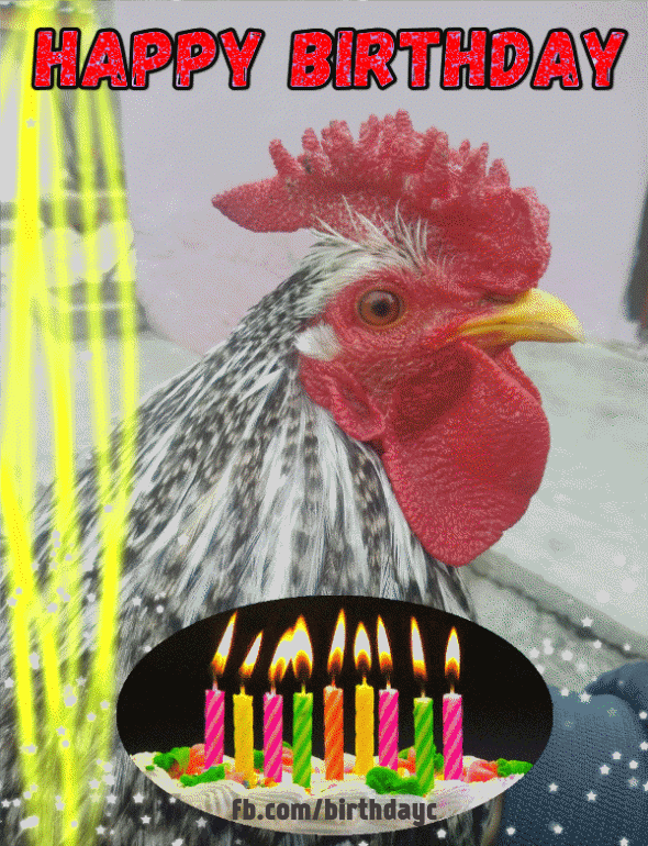 Happy Birthday Rooster Birthday Greetings Cards And