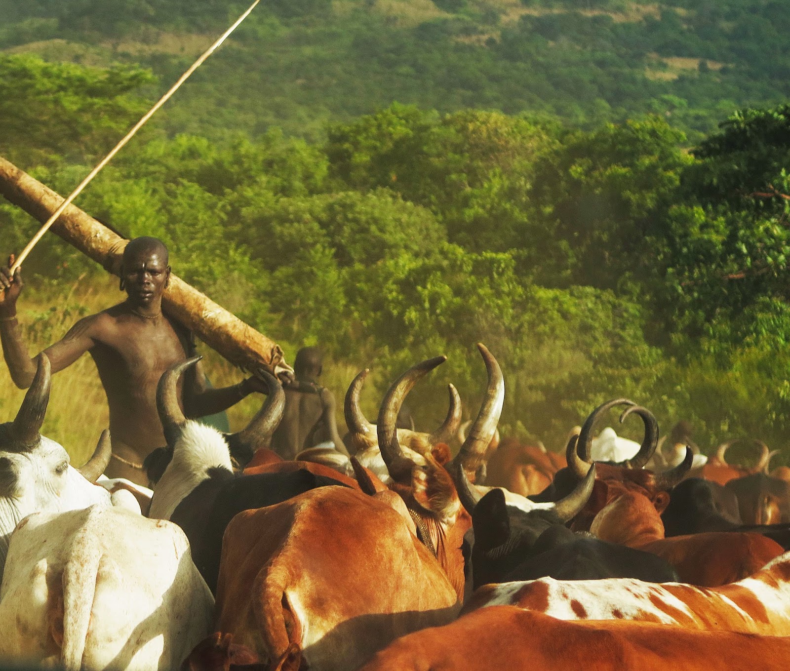 Life...The Vivere: 31 August 2014