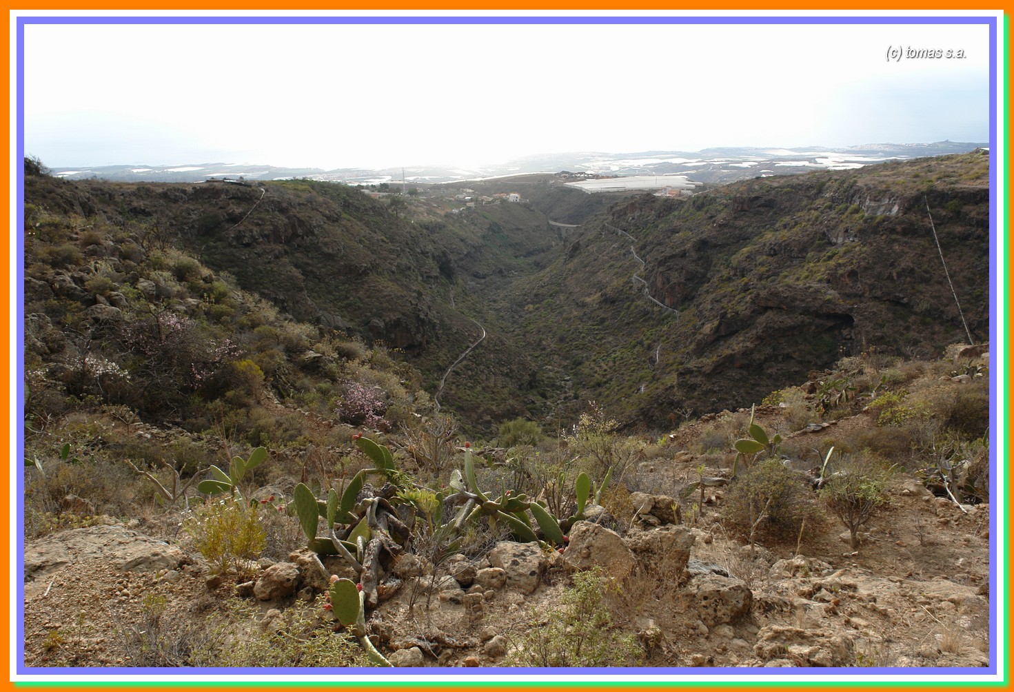 Tenerife senderos......: TENERIFE SENDEROS --GUIA ISORA-- EL JARAL -LAS ...