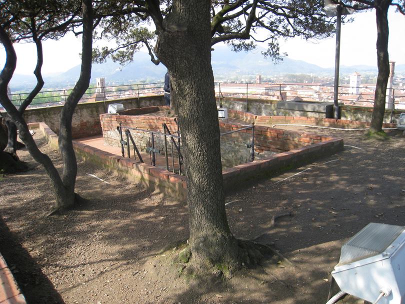 Guinigi Tower Crowned With Oak Trees