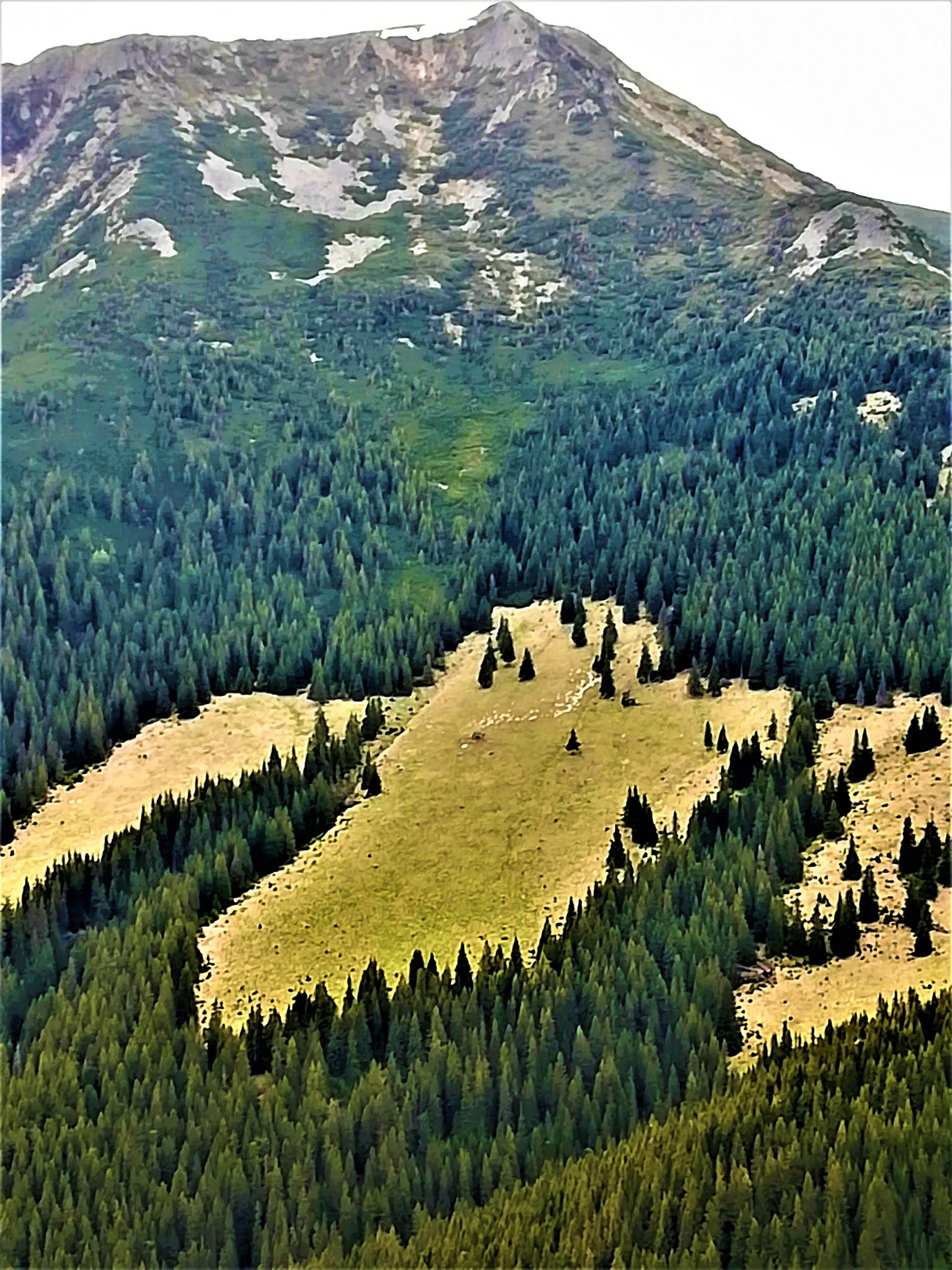 Traseu 6: Toplita - Lacul Iezer/Rezervatia Calimani (traseu off-road)