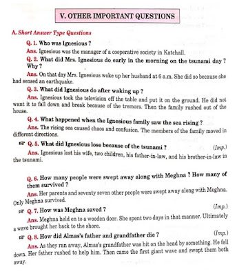 apsg: Class 8: "Tsunami"- Question & Answers