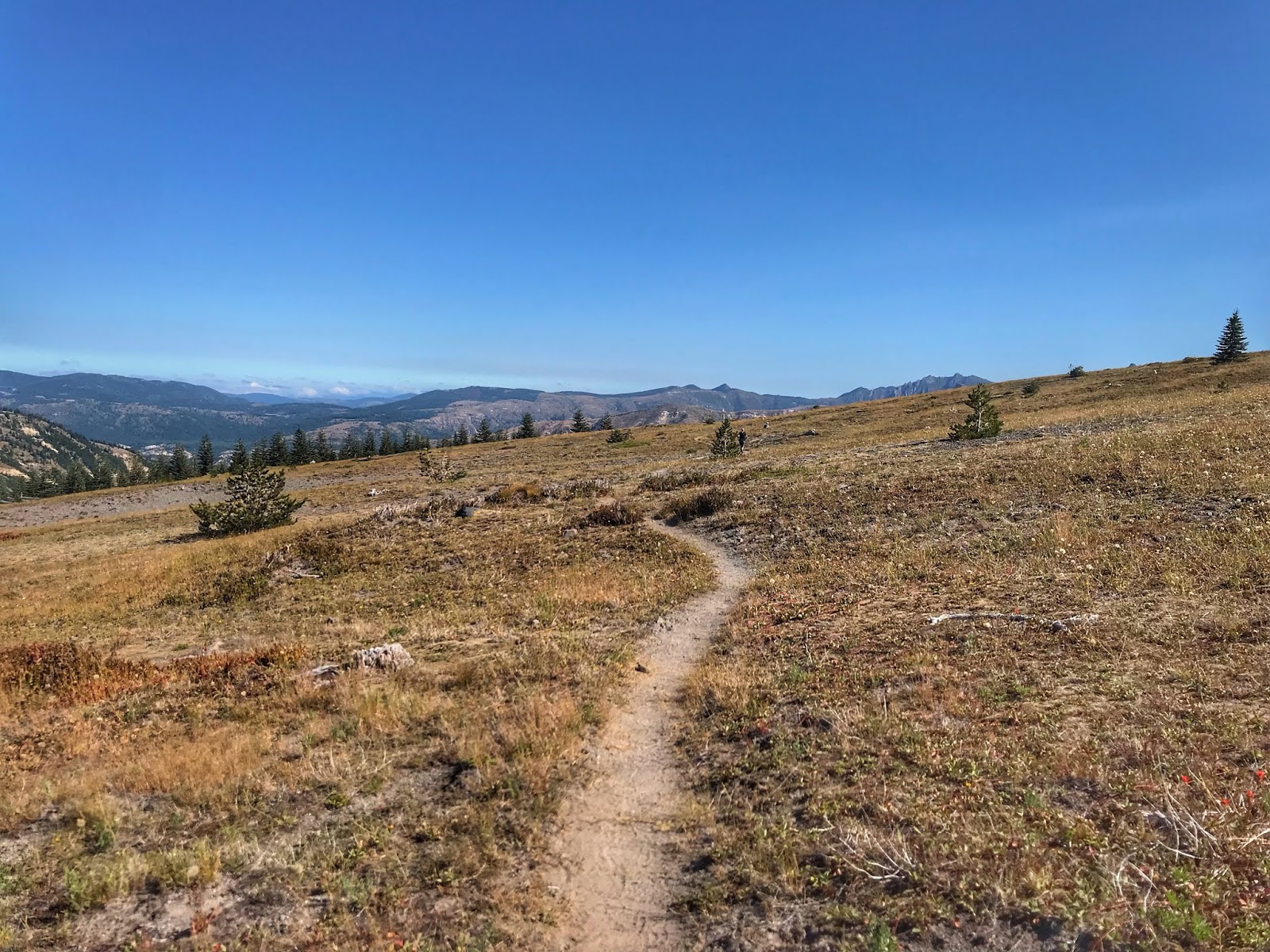 Race Report - 2018 Volcanic 50 - Ultra Kraut Running