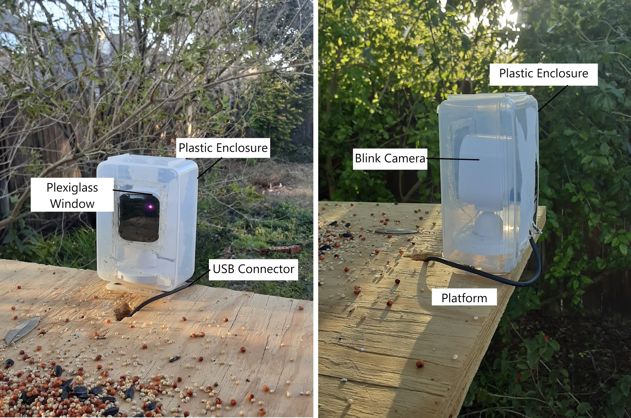 How to organize a “Zoom call” with birds - a new, DIY approach to bird ...