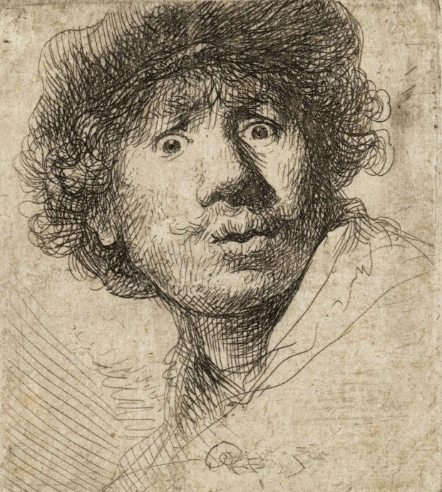 AP Art History: FACES in Dutch Art