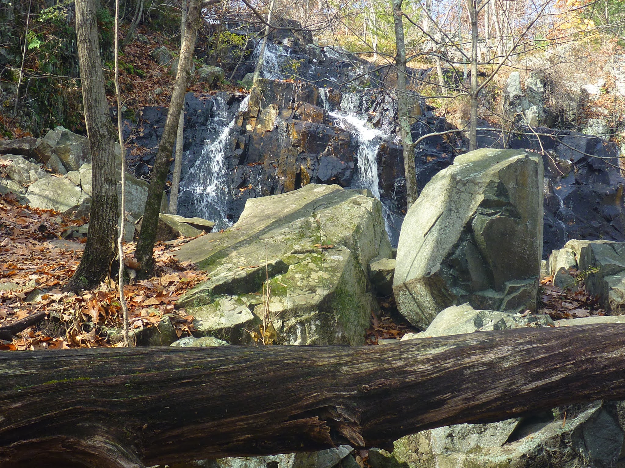 Trailing Ahead: Cascade Trail in the Middlesex Fells Reservation